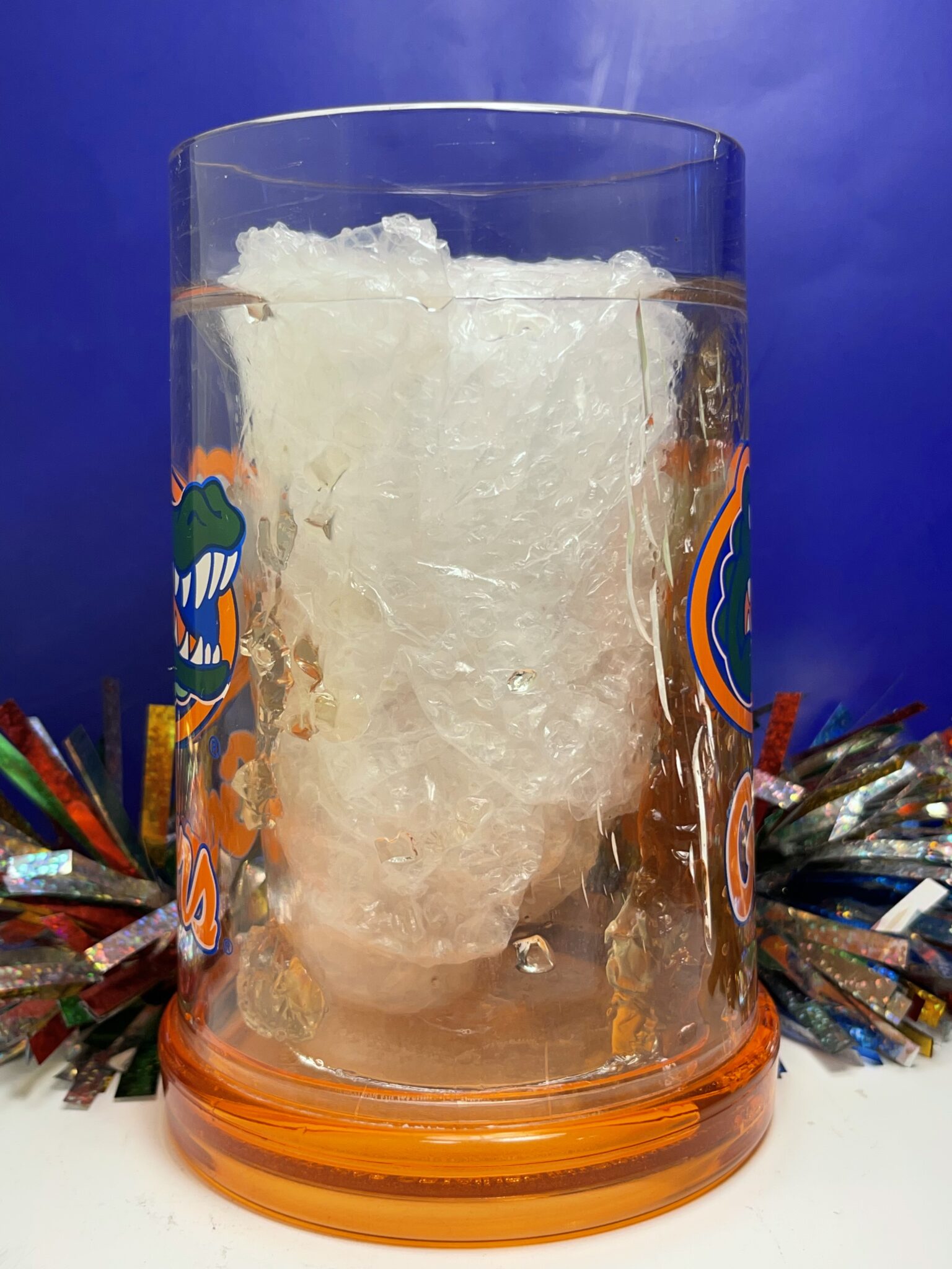 Florida Gators Freezer Mug - CupofMood