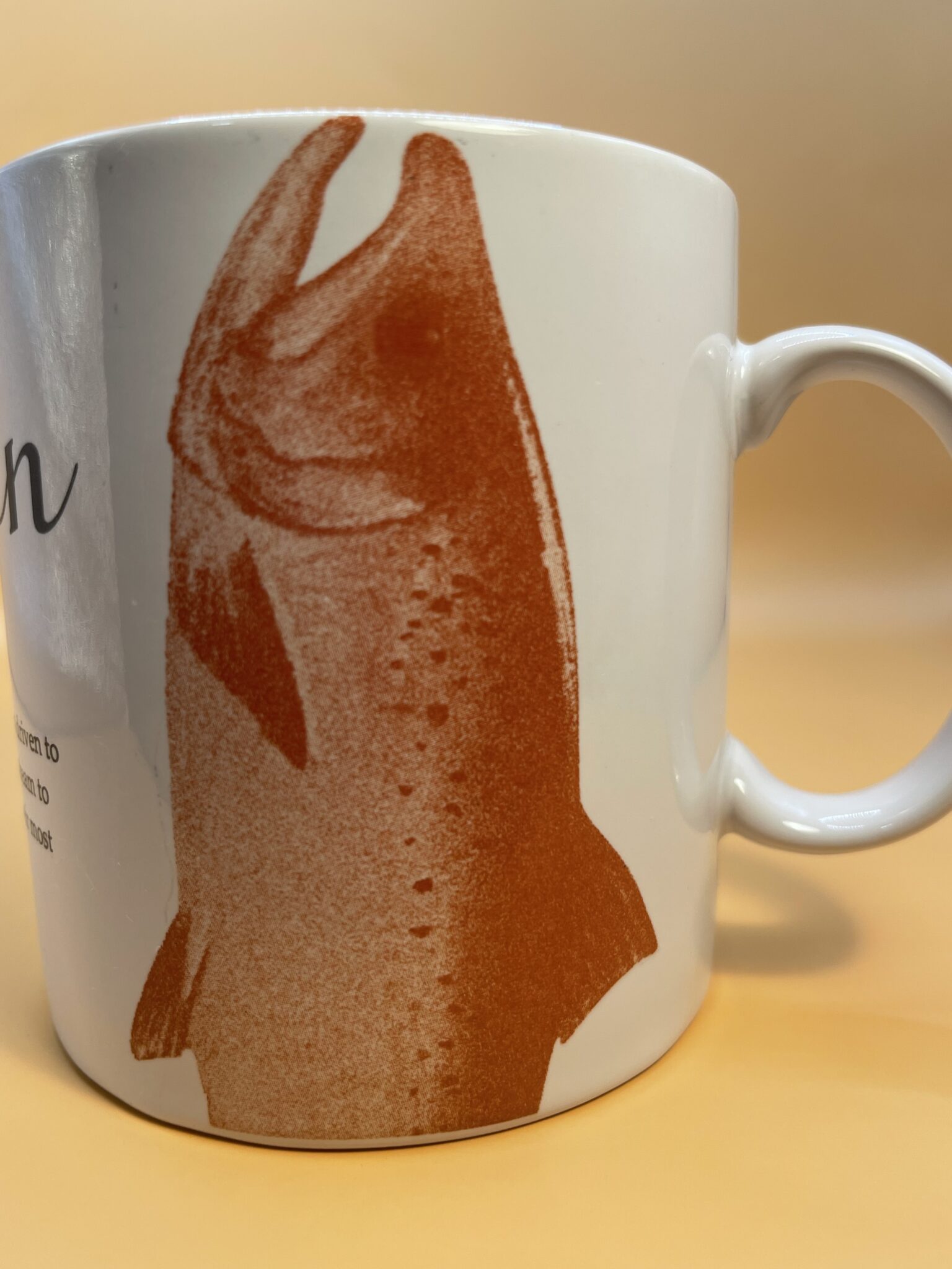 Jumbo Salmon Fish Mug - CupofMood Clay Art Fish Mug