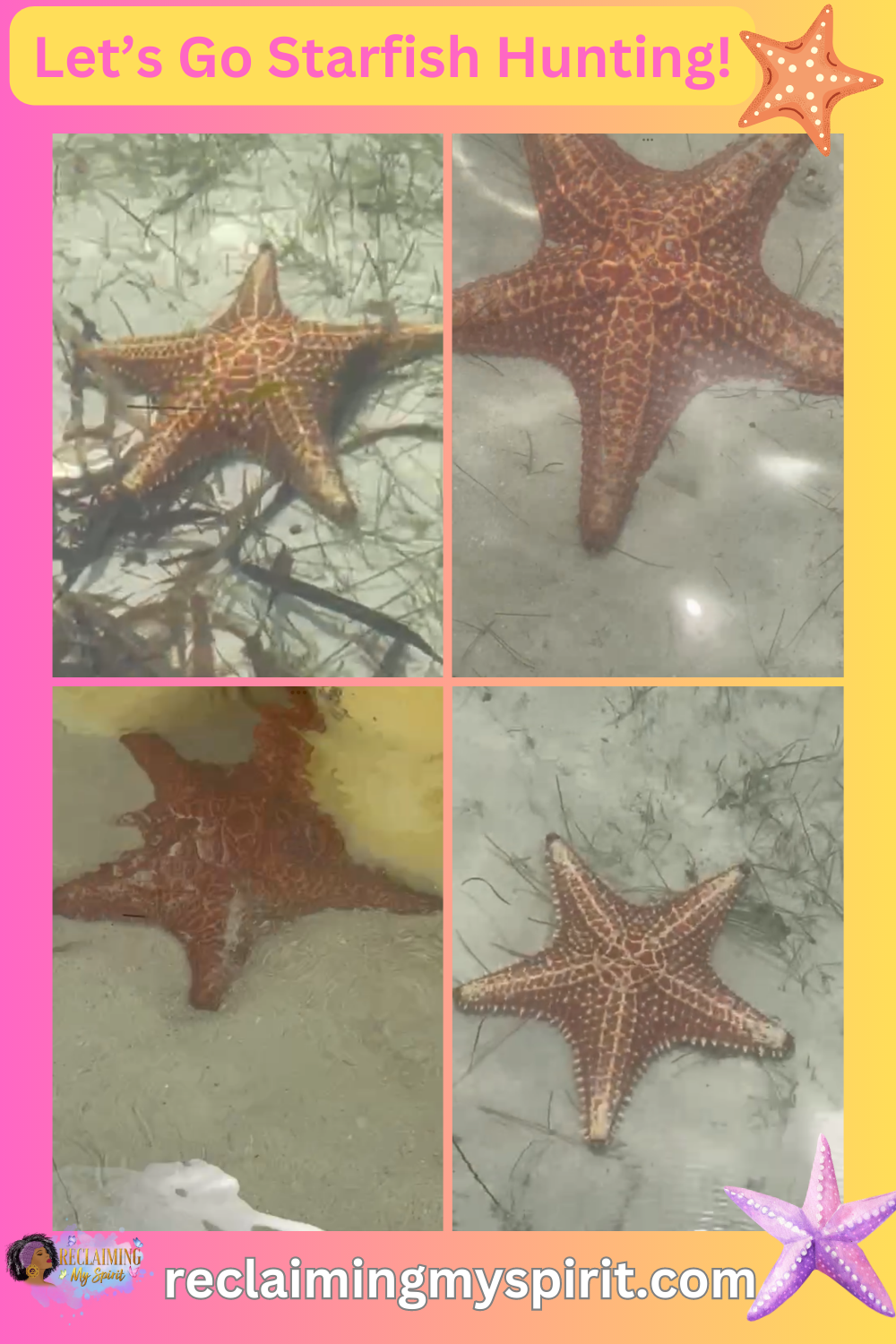 Surprising Starfish Facts - CupofMood