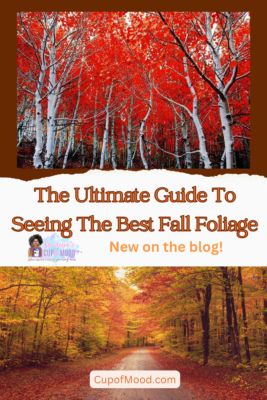 The Ultimate Guide To Seeing The Best Fall Foliage! - CupofMood