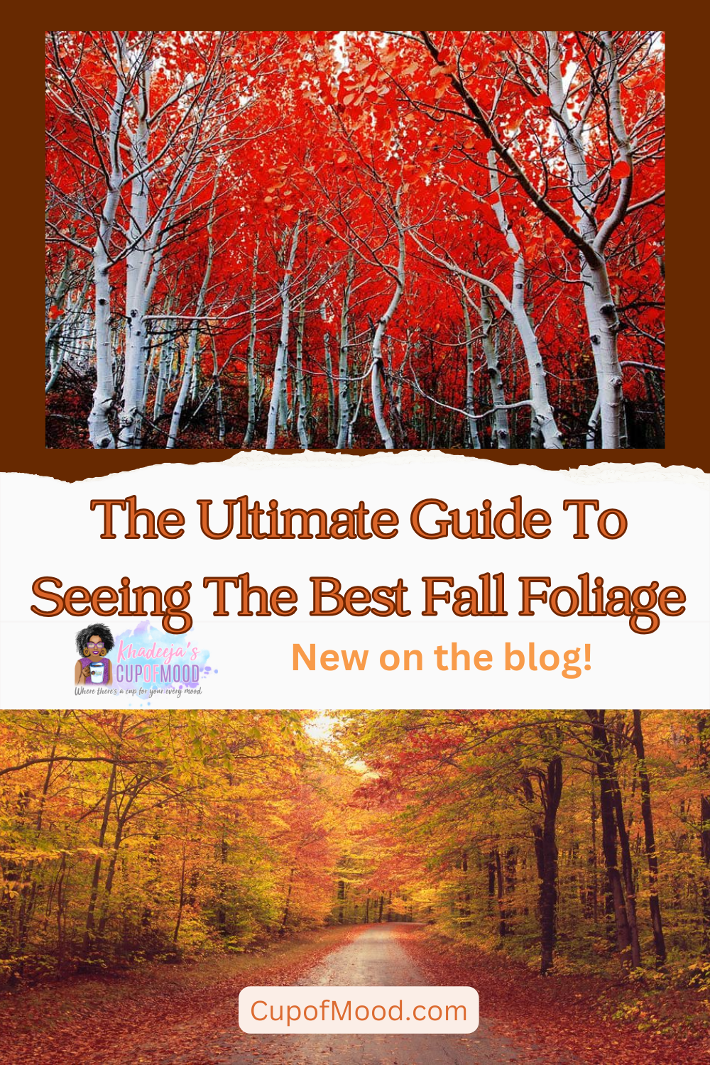 The Ultimate Guide To Seeing The Best Fall Foliage! - CupofMood
