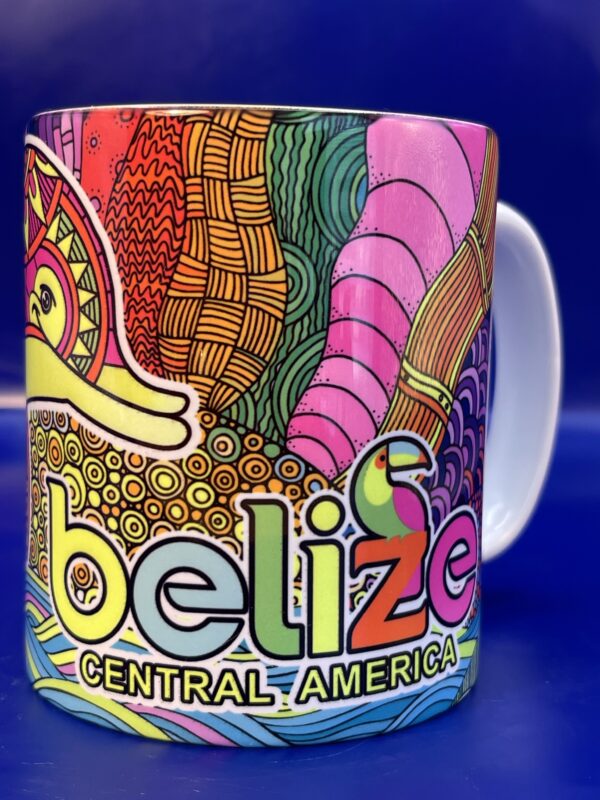 Belize Dolphin Souvenir Mug - CupofMood