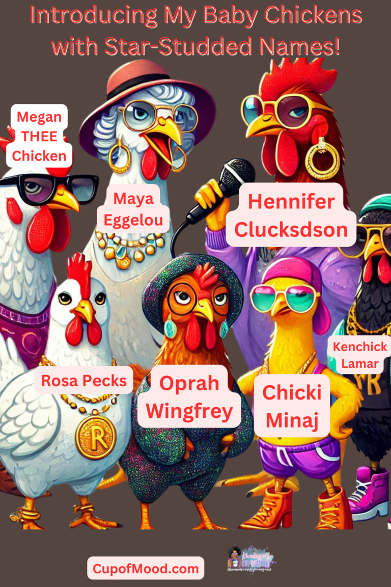 Introducing My Baby Chickens with Star-Studded Names - CupofMood